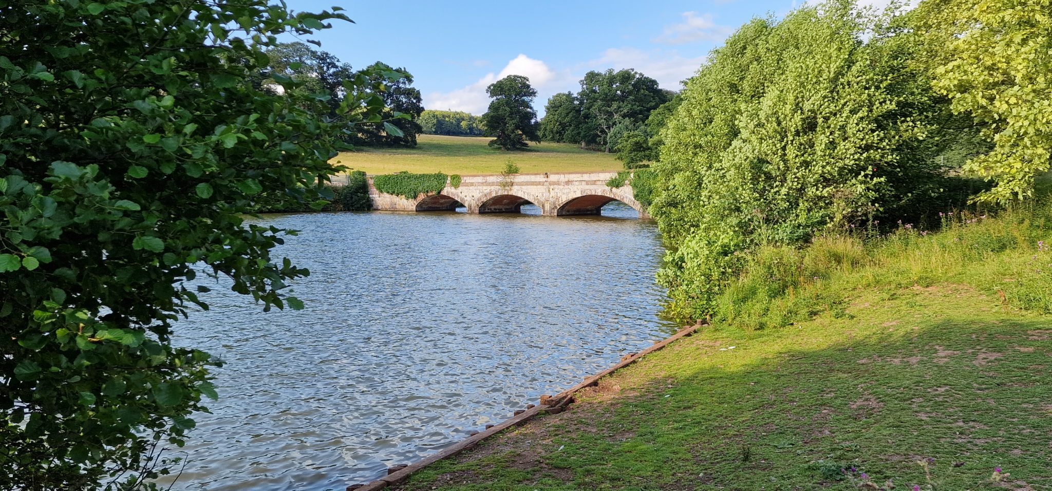 Web Accessibility – Shobrooke Parish Council